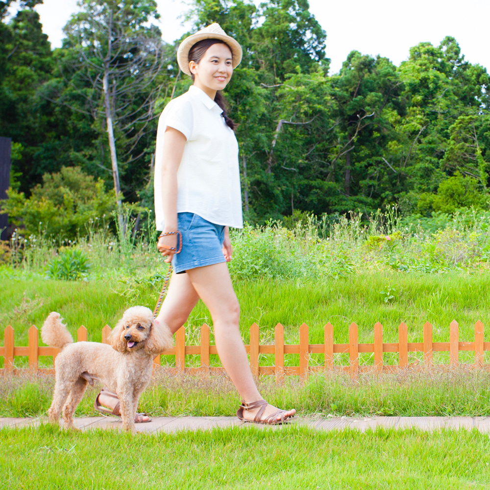 DOG&CAT MOMO｜大阪府箕面市にあるペットサロン